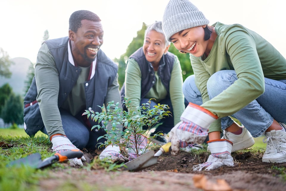 Some great examples of community engagement in construction